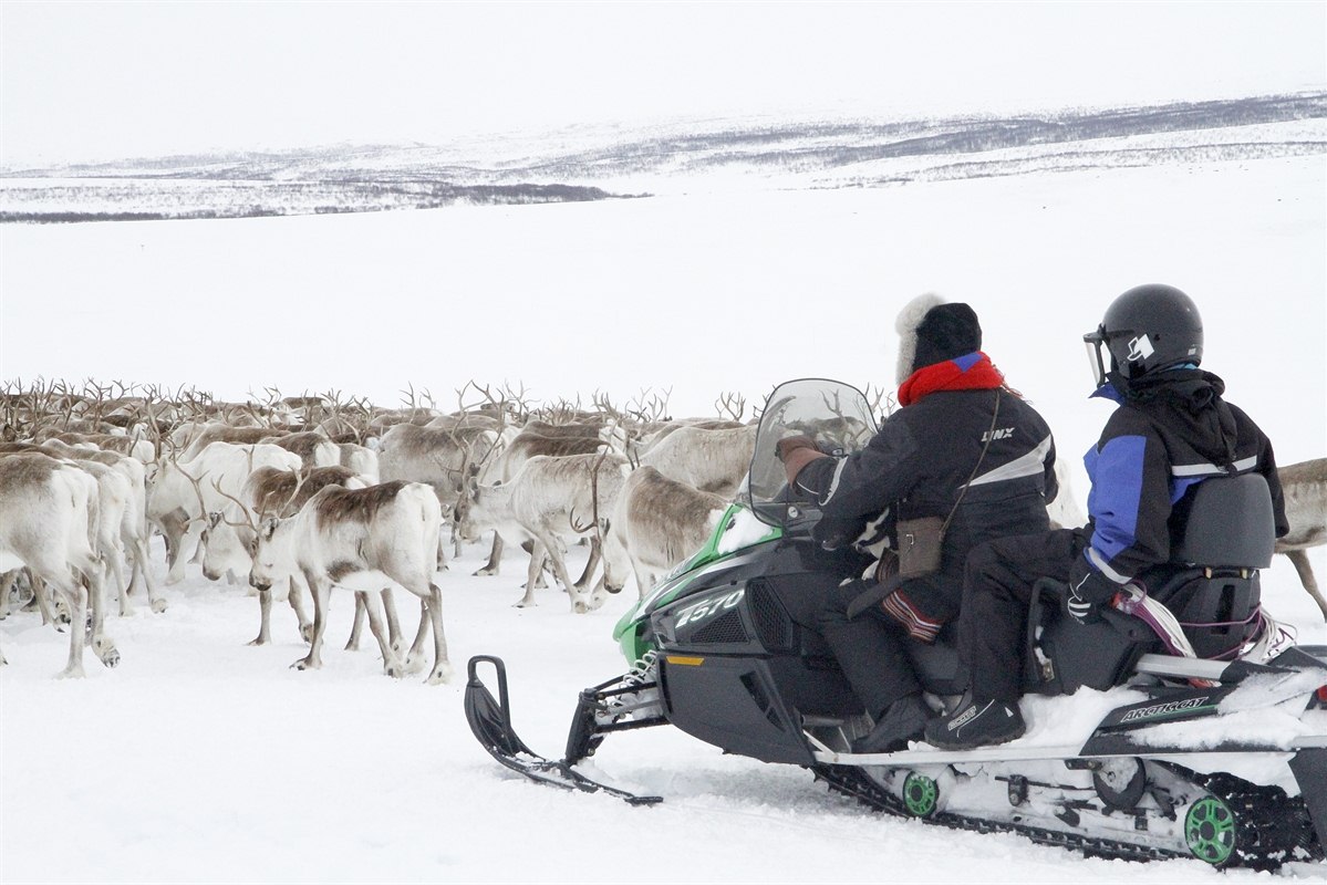 Tours in Norway - Sami Adventures